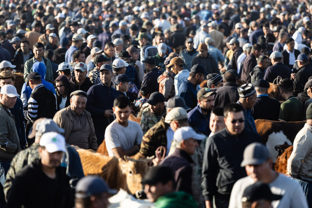 Asia Travel Photography - How to Photograph Uzbekistan’s Livestock ...